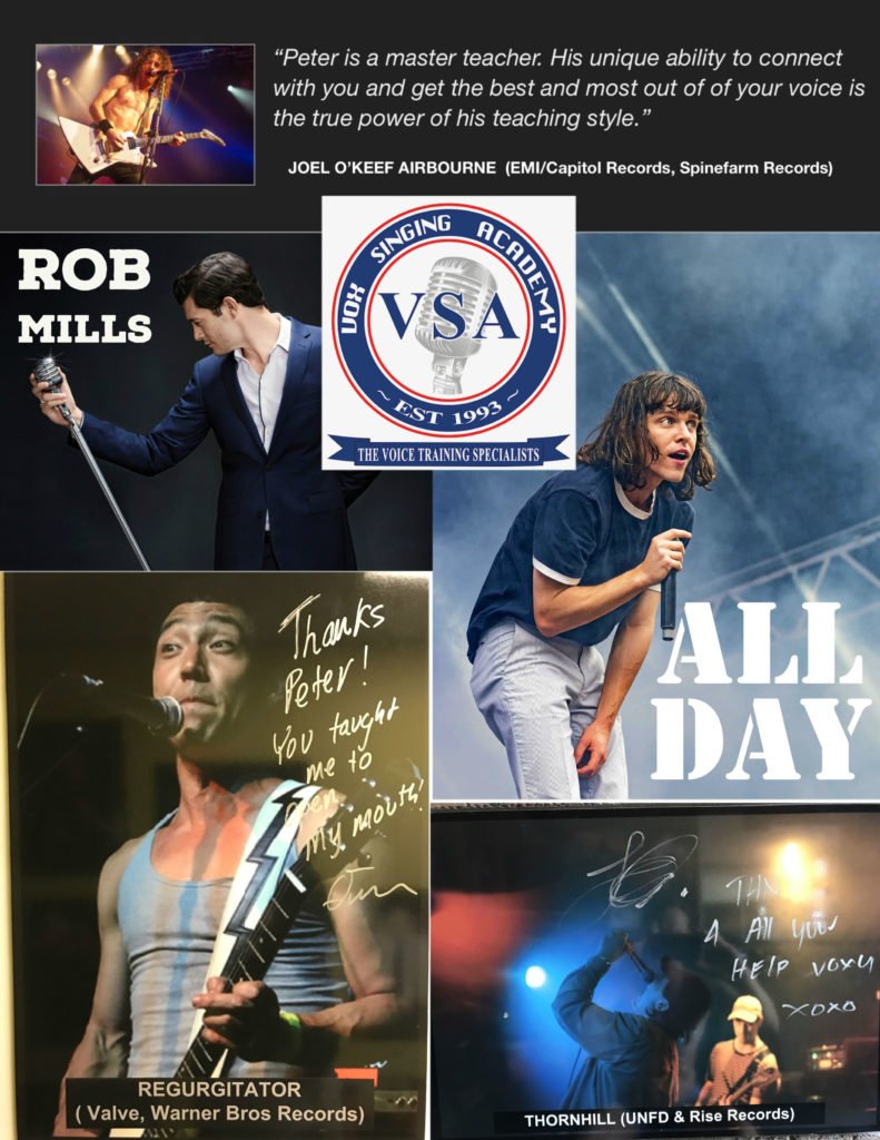 PROFESSIONAL SINGERS RECOMMEND VSA!